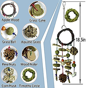 Rabbit Chew Toys for Teeth, Handmade Rabbit Toys for Bunnies, Natural Guinea Pig Chew Toys with Balls, Timothy Hay, Apple Wood for Chinchilla Gerbil