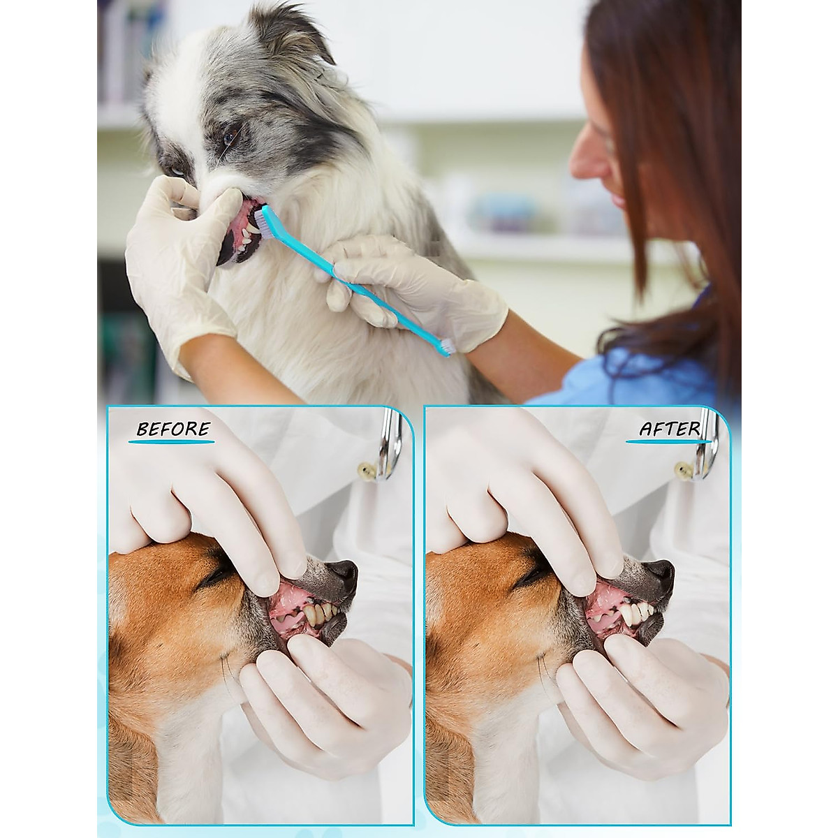 100 Pcs Dog Toothbrush Dog Tooth Brush Double Headed Dog Tooth Brushing Kit Soft Bristles Dog Tooth Brush Long Handle Toothbrush For Dogs Cat And Most Pets Toothbrush Best Dog Teeth Cleaning -Blue