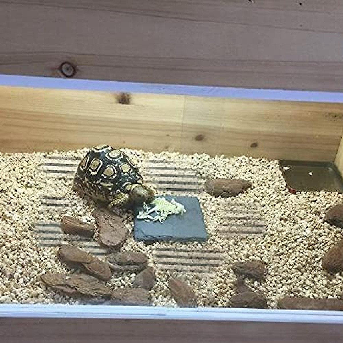 APlayfulBee Reptile Heat Pad, Adjustable Temperature Control Lizard Terrarium Heating Mat for Small Animals Snake Turtle Bearded Dragon Gecko and Plant (15W)