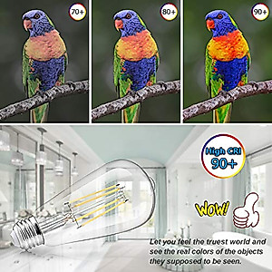 Vintage LED Dimmable Edison Light Bulbs 100W Incandescent Equivalent, 8W 1200Lumens, E26 Base LED Filament Bulb, 5000K Daylight White, ST64/ST21 Antique Clear Glass for Home, Reading, Bathroom, 4-Pack