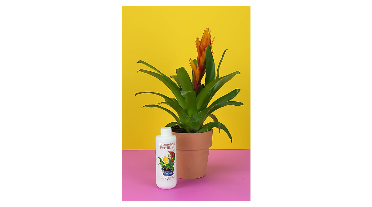 Bromeliad Fertilizer Liquid Plant Food for Bromeliads | Aquatic Arts