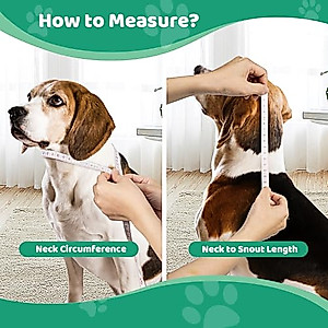 Superior Strong Oxford Cotton Lining Adjustable Buckle Pet Friendly Waterproof Secure Fit Soft & Protective Dog Cone Collar for Grooming, After Surgery Recovery, Rashes Protection (Extra Large), Gray