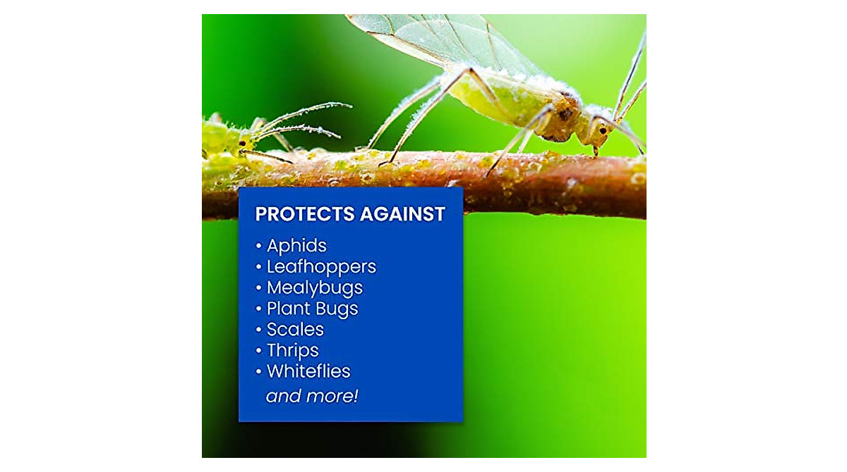 BioAdvanced Insect Control Spikes for Healthy Plants