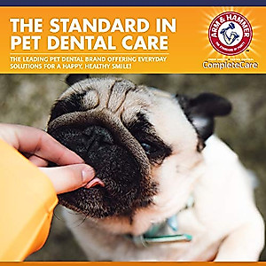 Arm & Hammer for Pets Complete Care Dog Dental Mints in Resealable Bag, Beef Flavor Baking Soda Enhanced Dog Dental Care Mints for Fresh Breath, 40 Mints