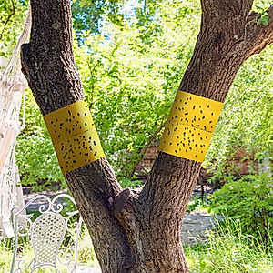 Kittmip 4 Rolls 260ft Lantern Fly Tree Tape Outdoor Adhesive Crawling Insect Trap Yellow Sticky Traps Sticky Barrier Protecting Trees Outdoor Indoor Fruit Tree Lawn Garden Control Aphids Ant Moth