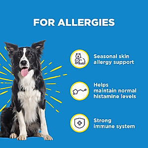 Wildpaw WonderBites for Fast Allergy Relief - Pet Supplement to Support Itchy Skin & Allergy Relief - Dog Skin & Coat Health Supplement - 90 Soft Chews