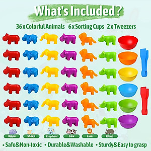 RAEQKS Counting Sorting Toys Matching Stacking Toys with Bowls Preschool Learning Activities Educational Sensory Game Montessori STEM Toy Daycare Sets Animals Gifts for Toddlers Kids Boys Girls