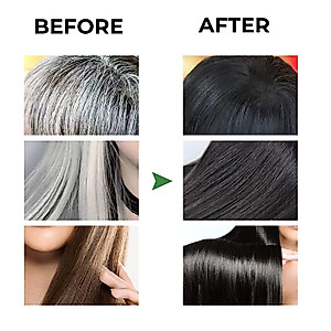 TSSPLUS Hair Dye Shampoo 3 in 1, Ginger Essence Black Hair Dye 16.9 Fl Oz, Black Hair Shampoo, Semi-Permanent Hair Color For Men and Women, 100% Gray Hair Coverage, Safe and Hair herbal shampoo