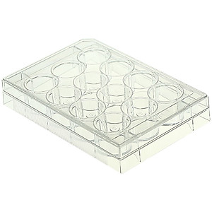 Nest Scientific 712001 Polystyrene 12 Well Cell Culture Plate, Flat Bottom, Tissue Culture Treated, Sterile, Clear, 1 per Pack, 50 per Case (Pack of 50)