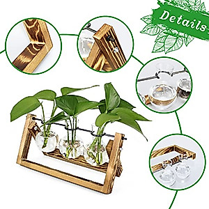 Plant Propagation Station,Plant Terrarium with Wooden Stand Desktop Air Propogation Planters Glass Vase for Indoor Hydroponics Water Plants Home Garden Office Decoration