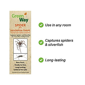 GreenWay Spider & Silverfish Trap - 72 pre baited Traps (12 Pack of 6), Ready to Use Heavy Duty Glue, Safe, Non-Toxic with No Insecticides or Odor, Eco Friendly, Kid and Pet Safe