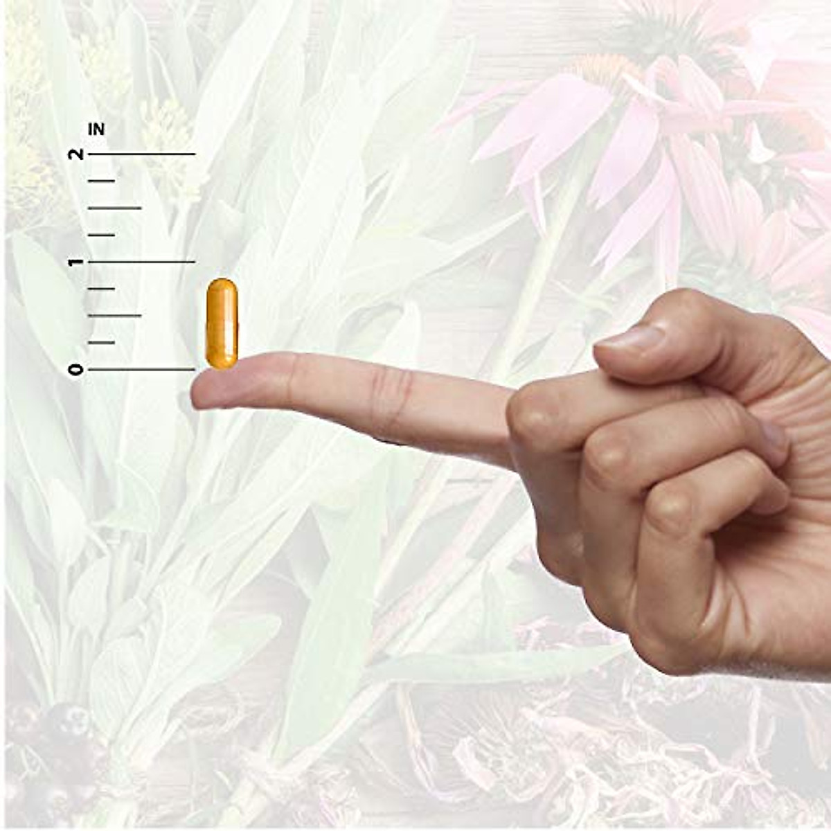 Nature's Answer Oil of Oregano Capsule Softgels, 90-Count | Natural Immune Booster | Promotes Healthy Digestion & Gut Flora