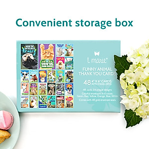 T MARIE 48 Funny Thank You Cards with Colorful Envelopes and Gold Stickers - Bulk 4x6” Boxed Set for Employee Appreciation Cards, Kids, Friends, Staff and Customers - Cute Animal Designs