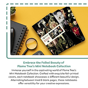 Aimee Stewart Set of 3 Mini Notebooks (Mini Notebook Collections)
