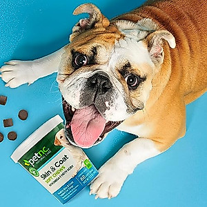 PetNC Natural Care Skin and Coat Soft Chews for Dogs, 60 Count