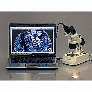 AmScope SE306R-P Forward-Mounted Binocular Stereo Microscope, WF10x Eyepieces, 20X and 40X Magnification, 2X and 4X Objectives, Upper and Lower Halogen Lighting, Reversible Black/White Stage Plate, Pillar Stand, 120V