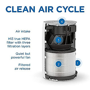 Medify Air MA-22 Air Purifier with H13 True HEPA Filter | 330 sq ft Coverage | for Allergens, Wildfire Smoke, Dust, Odors, Pollen, Pet Dander | Quiet 99.7% Removal to 0.1 Microns | Black, 2-Pack