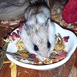 Exotic Nutrition Flower Treat 3 Pack - Healthy Assortment - Hibiscus, Calendula, Rose - for Squirrels, Guinea Pigs, Rabbits, Chinchillas, Prairie Dogs, Degus, Hamster, Gerbils, & Other Herbivores