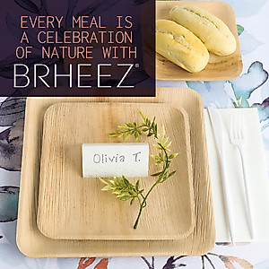 brheez Bamboo Plates made from Palm Leaf 25 Party Plates 10 Inch Eco Friendly Compostable & Biodegradable – Disposable Plates Heavy Duty and More Environmentally Friendly than Paper Plates