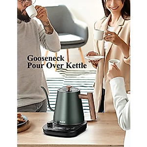 KLEAH Electric Kettle Gooseneck with Temperature Control Stainless Steel Automatic Shut Off Coffee Kettle Hot Water Boiler Pour Over Tea Kettle 1200 Watt Quick Heating Keep Warm, 0.8L for Gift