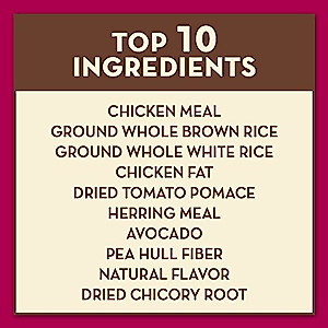 AvoDerm Natural Indoor Formula Dry Cat Food 11lb