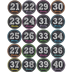 Belly Doodles 36 Weekly Pregnancy Stickers 3.94 Inch