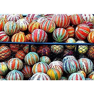 10 Rare Kajari Melon Seeds - Bright Striped Melon, Compact Vines - 60-70 Days Till Ripe - Grows in Shade