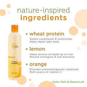 EARTH SCIENCE - Citress: Volumizing Citrus Shampoo for Fine and Oily Hair (3pk, 12 oz.)