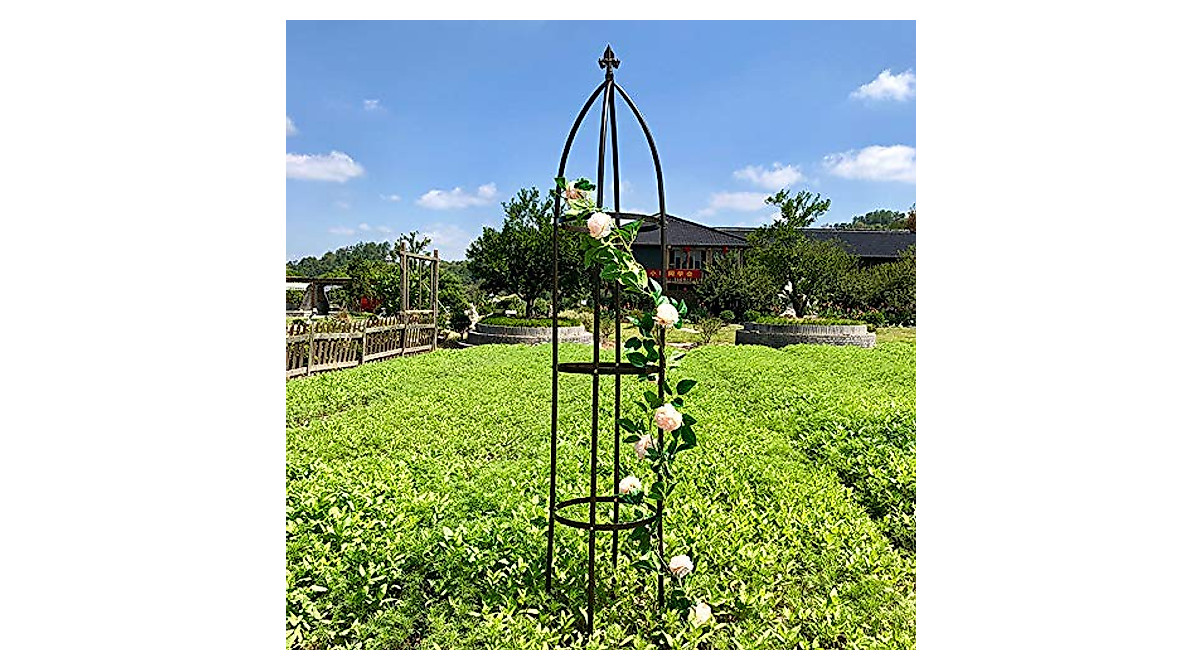 Bronze Garden Arch Trellis for Climbing Plants & Weddings