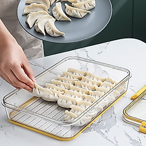 Food Storage Containers with Handles and Lids BPA Free Plastic Airtight Kitchen Home Pantry with Time Recording Organizer for Food Drinks Fruit Vegetable Meal Salad Sandwich Leak Proof