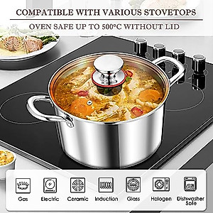 Herogo 6 Quart Stock Pot, 18/10 Stainless Steel Pasta Pot with Lid, 6 QT Cooking Pot with Handles, Tri-Ply Stockpot for Induction Gas Electric Stove, Dishwasher Safe