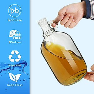 DESIYUE 2 Pack 64oz Glass Gallon Jugs with Handle and Black Plastic Lids, Half-Gallon, Gallon Glass Fermenting Jug, Glass Water Jug for Kombucha, Home Brew, Vanilla Extract, Beer, Soda,Cider (Clear)
