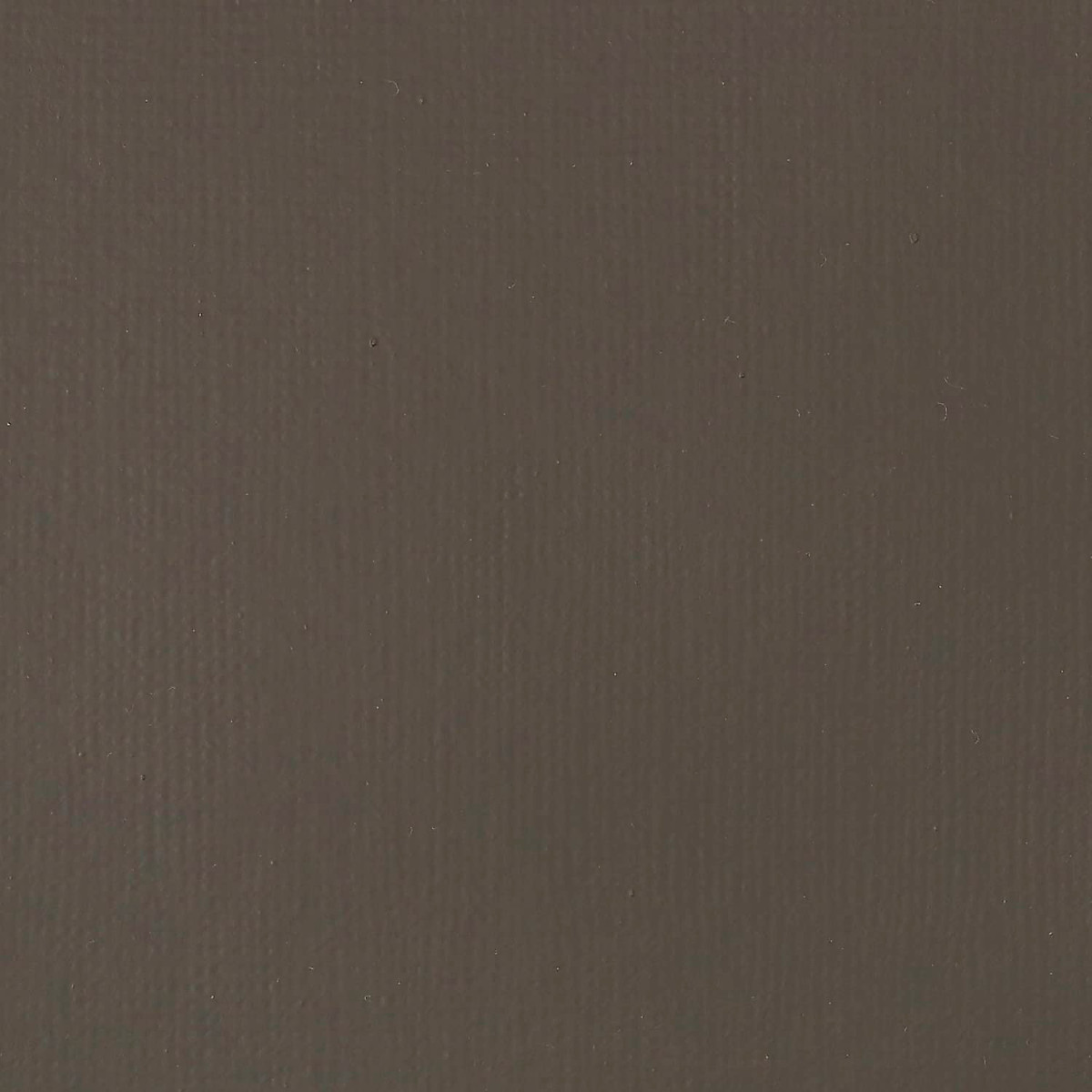 Liquitex BASICS Acrylic Fluid Paint, 118ml (4-oz) Bottle, Raw Umber