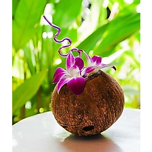 Sunne Tropical OrchidClub USA Loose Bloom Fresh Orchid Flower Head DIY Lei, food & drink decoration (100 PURPLE)