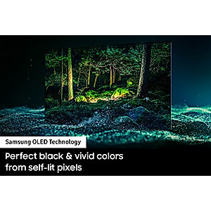 SAMSUNG QN65S95BAFXZA 65" Quantum OLED HDR UHD 4K Smart TV with a HW-B550 2.1ch Soundbar and Subwoofer with Dolby Audio (2022)
