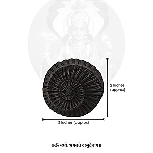 Vedic Vaani Siddh Vishnu Vinayak Divine Sudarshan Shaligram Stone Shila (Pack of 4)