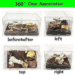 Magnetic Acrylic Reptile Cage,Transparent Enclosure Reptile Breeding Box,Breeding Box Terrarium Tank Suitabl for Tarantulas,Lizards,Chameleons,Hermit Crabs,Snakes,Insect,Turtle（12x8x6 Inch