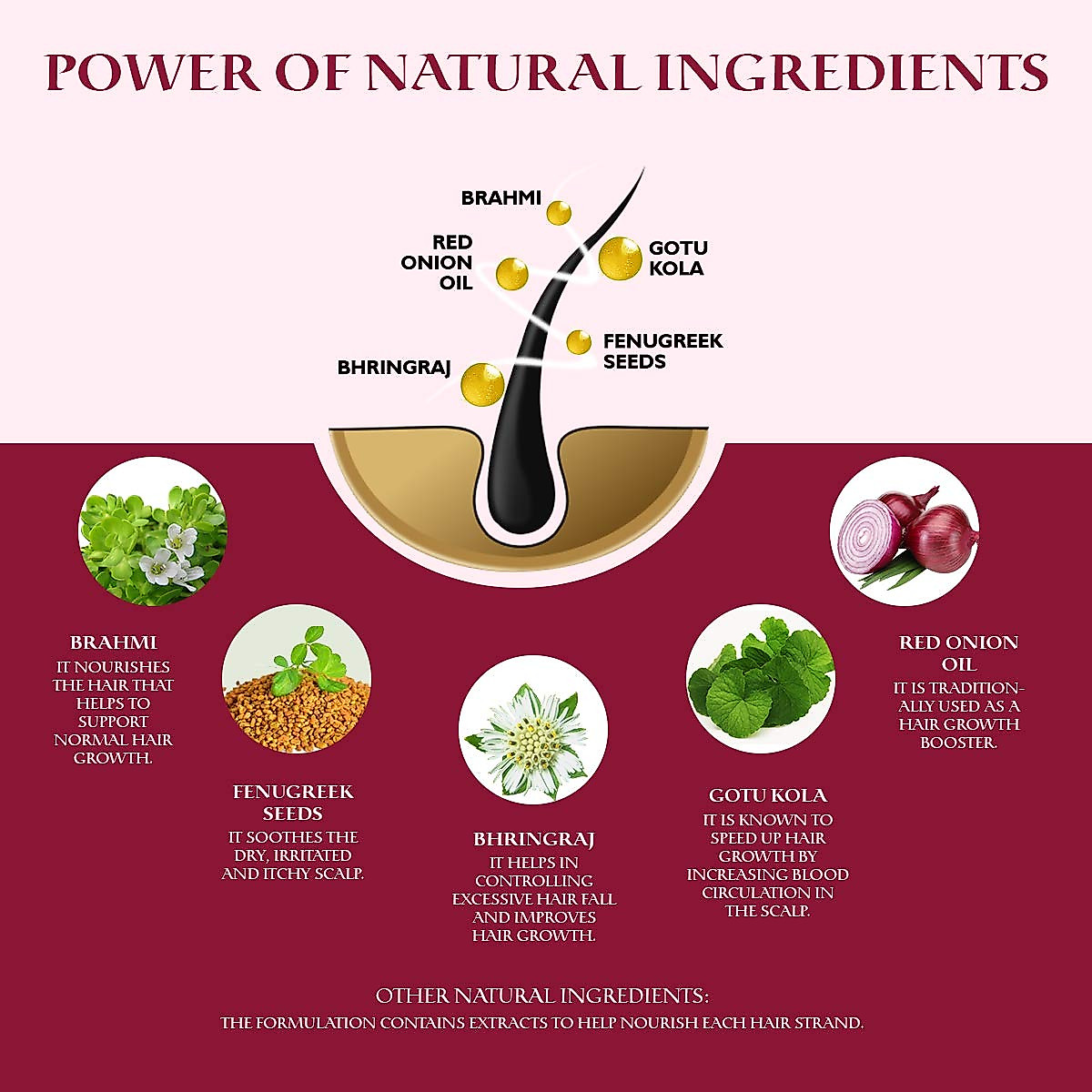 Oriental Botanics Red Onion Hair Conditioner with Red Onion Oil & 25 Botanical Actives - No Parabens, Mineral Oil, Sulphate, 300ml