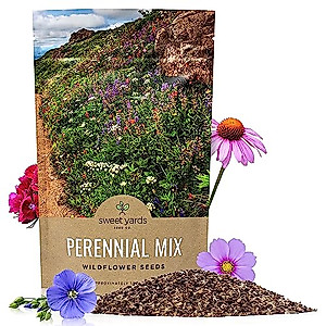 Perennial Wildflower Seeds Mixture - Bulk 1/4 Pound Bag - Over 60,000 Pure Live Seed - Open Pollinated and Non GMO