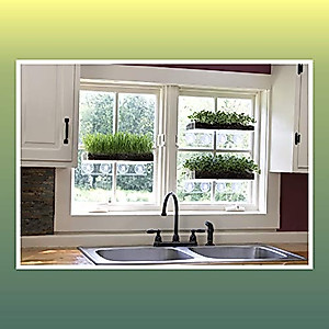 Window Garden Double Veg Ledge Shelf Organic Wheatgrass Kit Bundle (5) -Enough Pre-Measure Seeds, Fiber Soil to Grow 5 Trays on Your Indoor Window. Superfood Healthy Benefits for You and Your Cat.