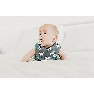 Copper Pearl Baby Bandana Bibs - 4 Pack Soft Cotton Baby Bibs for Drooling and Teething, Absorbent Drool Bibs for Baby Girl and Boy, Adjustable to Fit Newborns to Toddlers, Tons of Styles (Westyn)