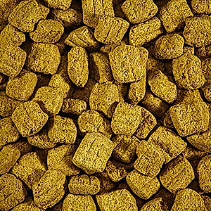 Kaytee Biscuit Parrot Treat 10 oz