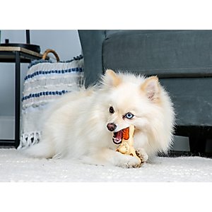 Hartz Chew ‘n Clean Chew Toy and Treat in One Chicken Flavored Tri-Point Dog Toy, Small
