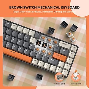 ZIYOU LANG RK-T8 Wired 65% Mechanical Gaming Keyboard with RGB LED Backlit Anti-ghosting TKL Mini 68 Key Custom Coiled C to A Cable Tactile Brown Switch for PS4 PS5 Xbox PC Mac Gamer(White/Dark Gray)