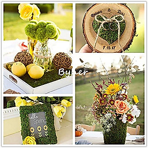 BYHER Dried Moss Mat for Wedding Birthday Party Fairy Garden Decorations, Dark Green (Green - 14" X 9")