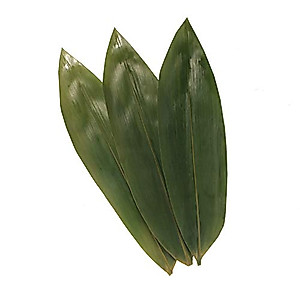BambooMN Bamboo Leaves for Cooking Zongzi, Banana Leaf Alternative, Grilling/Barbeque, Natural Boiling Bags - 12.25 x 3.5 Inches - 100 pack
