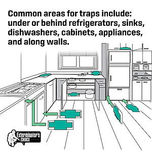 Exterminator’s Choice - Peel and Stick Glue Traps - Professional Quality Covered Glue Sticky Traps - Easy Pest Control for Ants, Roaches, Crickets, Spiders, Beetles and More - Includes 10 Traps