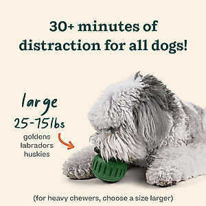 WOOF Pupsicle, Large 25-75 lbs Long-Lasting Dog Toy to Keep Your Pup Distracted, Safe for Dogs, Easy to Clean, Fillable Dog Toys