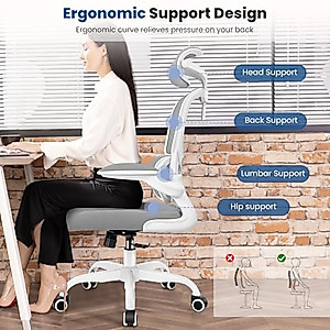 Razzor Ergonomic Office Chair, High Back Mesh Desk Chair with Lumbar Support and Adjustable Headrest, Computer Gaming Chair with Flip-up Armrests, Executive Swivel Chair for Home Office (LightGray)