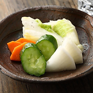 Instant Pickle Maker Vegetable Press Tsukemono Container Rectangle Made in Japan BPA Free (Blue 2.2L)